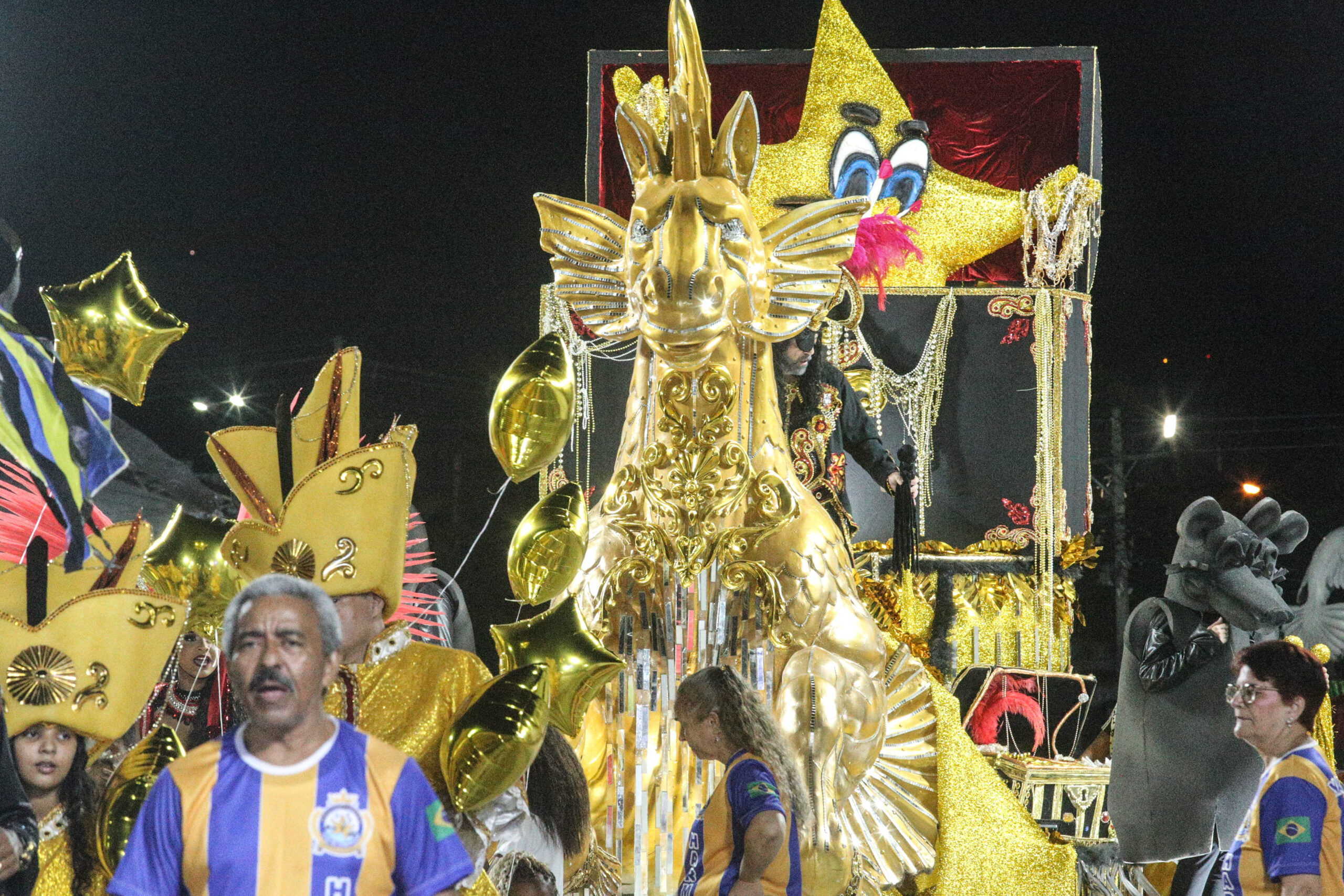 Niterói lança os Sambas-enredo das Escolas de samba na internet ...